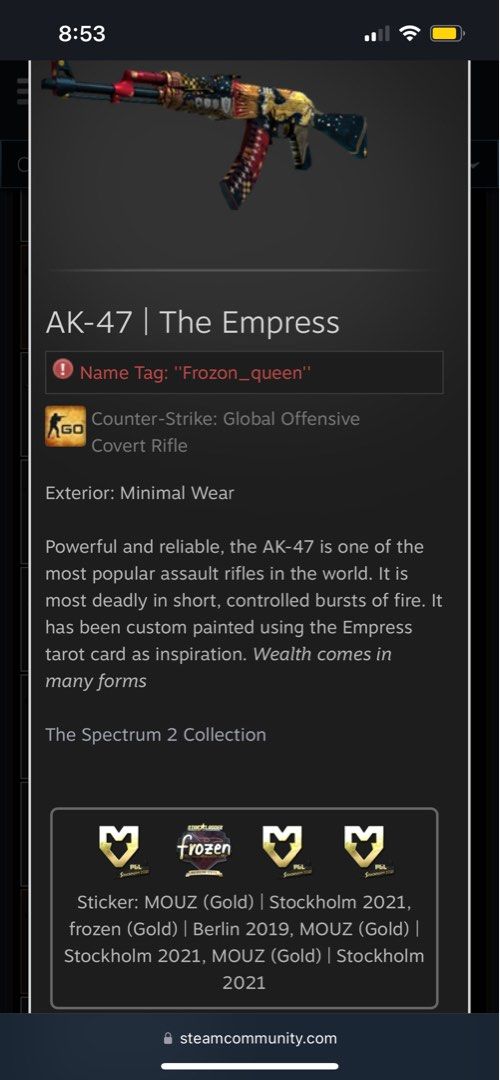 MW AK47 empress csgo, Video Gaming, Gaming Accessories, In-Game Products on Carousell