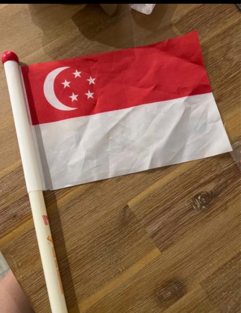 NDP handheld flag and face tattoo, Hobbies & Toys, Stationery & Craft ...