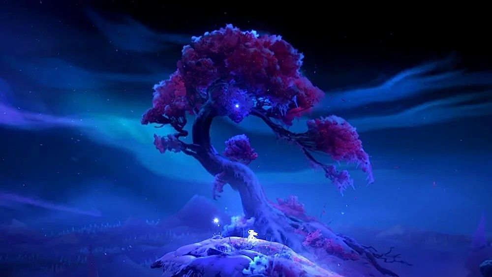 Ori and the Will of the Wisps *Used* (Everyone / iam8bit / Adventure ...