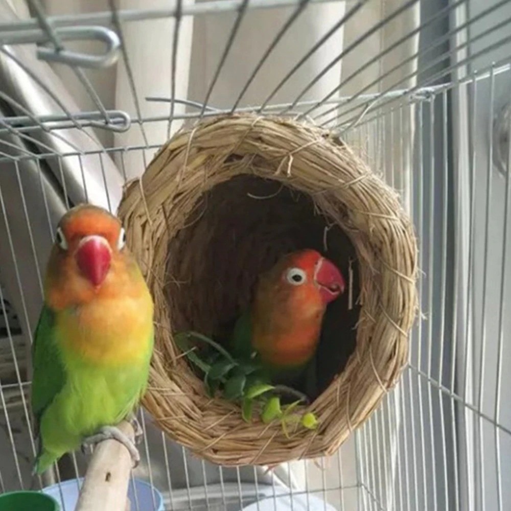Woven Bird Nest Cage 12cm for Parrot Budgie Cockatiel Parakeet Canary ...