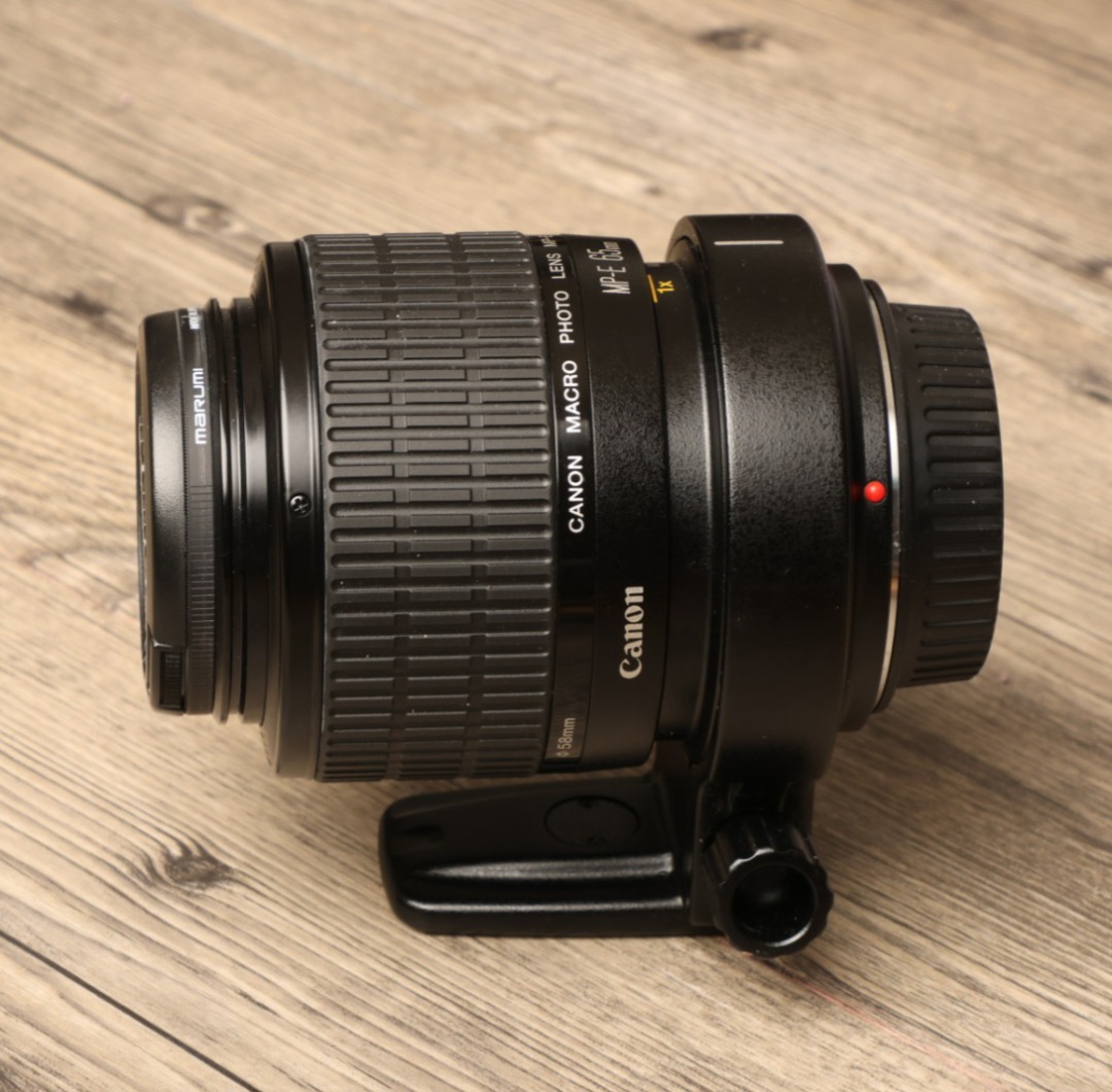 CANON Macro Lens MP-E 65mm f2.8 1-5x on Carousell
