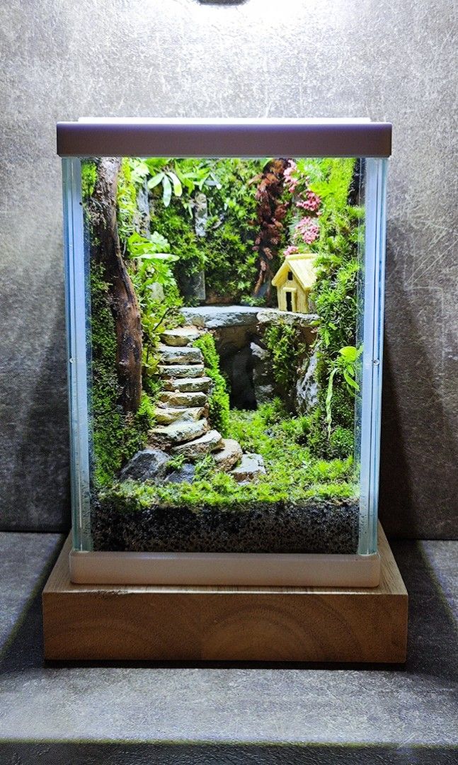Enclosed Terrarium, Furniture & Home Living, Gardening, Plants & Seeds ...