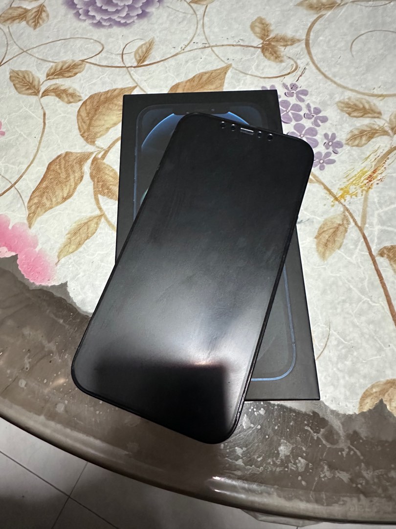 iPhone 12 Pro Max 256GB, Mobile Phones & Gadgets, Mobile Phones, iPhone ...