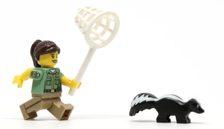 Lego minifigure Series 15 - Animal Controller with skunk, Hobbies ...