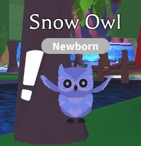 Roblox | Adopt Me | Snow Owl, Video Gaming, Gaming Accessories, In-Game ...
