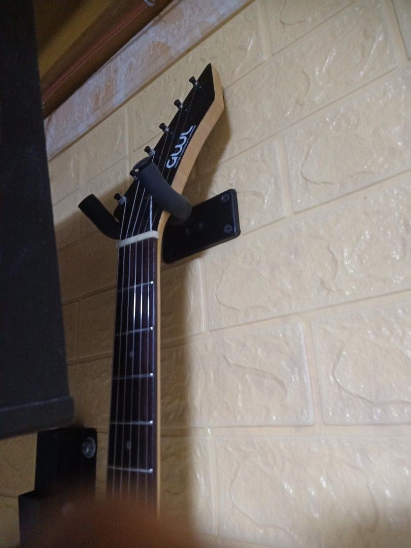 Stock Pickups (George Washburn Limited), Hobbies & Toys, Music & Media ...