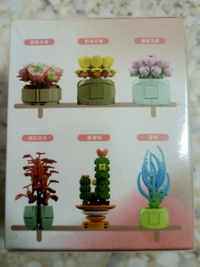Succulent Building Blocks Blind Box, Hobbies & Toys, Toys & Games on ...