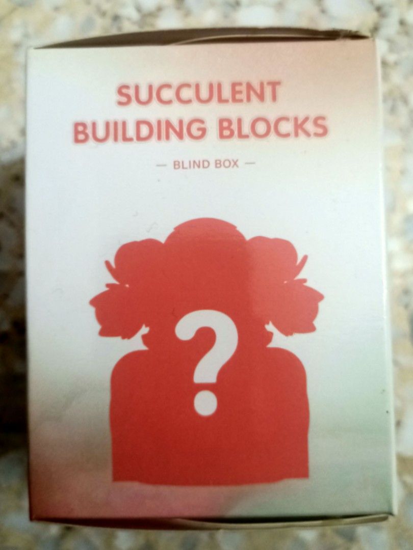 Succulent Building Blocks Blind Box, Hobbies & Toys, Toys & Games on ...