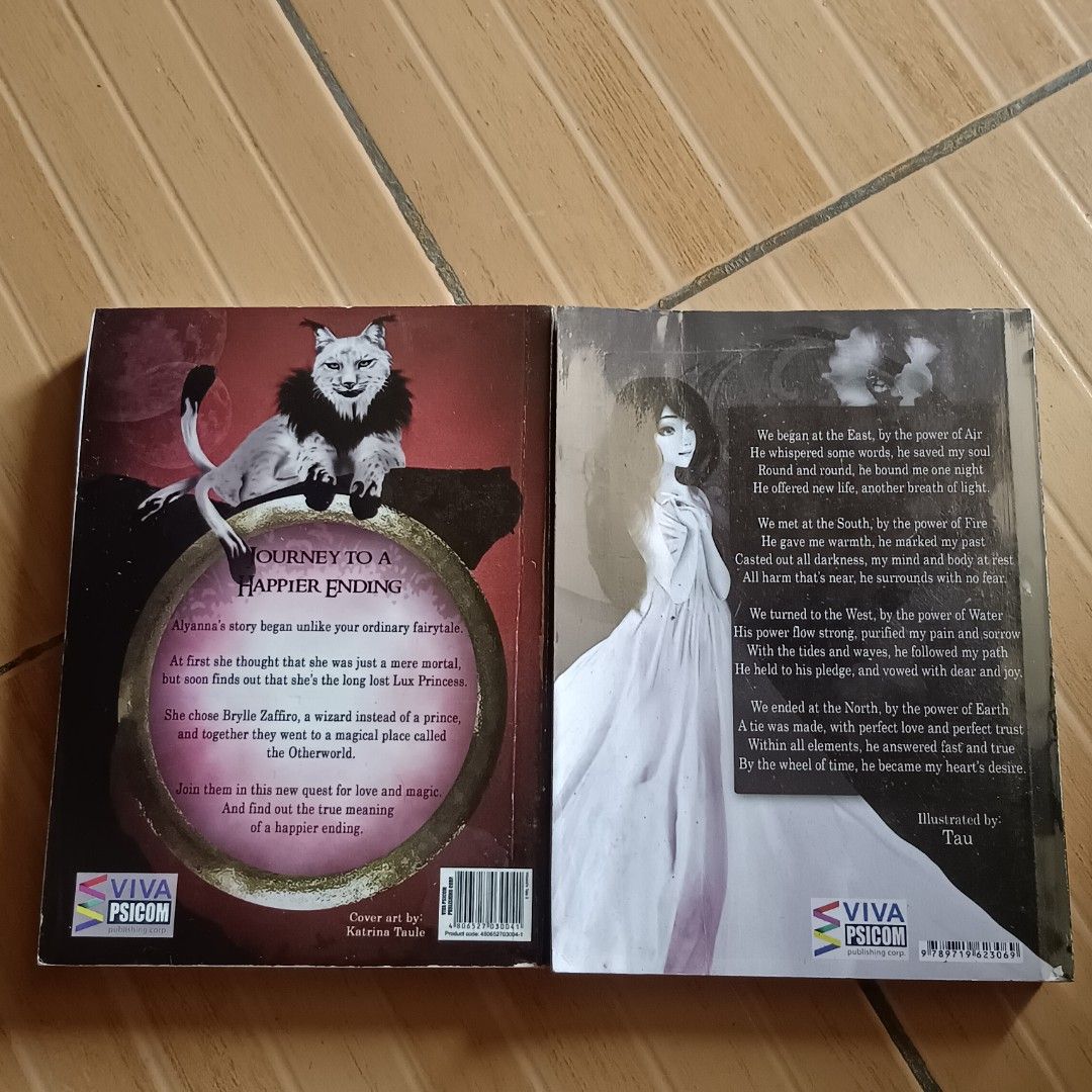 BOOKSALE | Book Bundle 1 | Wizard's Tale Book 1 and 2 by ...