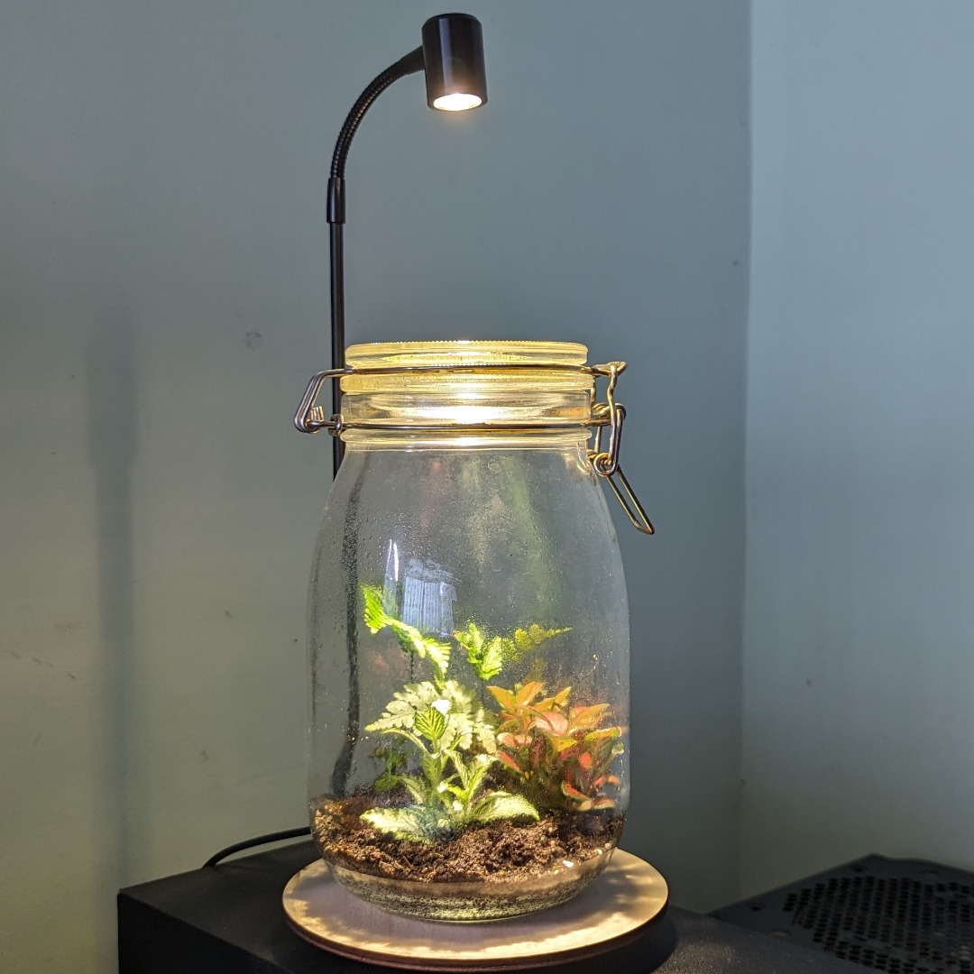 Free LED light - Terrarium (Self Sustainable), Furniture & Home Living ...