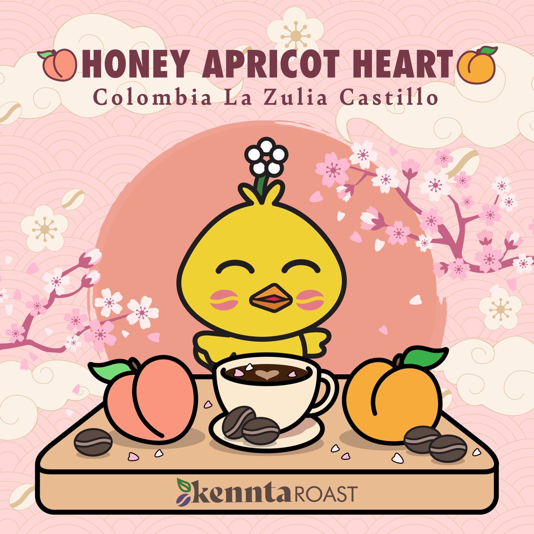 Colombia La Zulia Castillo Honey Apricot Heart Coffee Bean 2023, Food ...