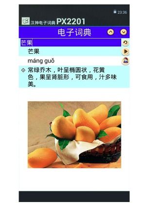 Creative Knowledge HansVision e-Dictionary PX2201(5")/Approve for Exam ...