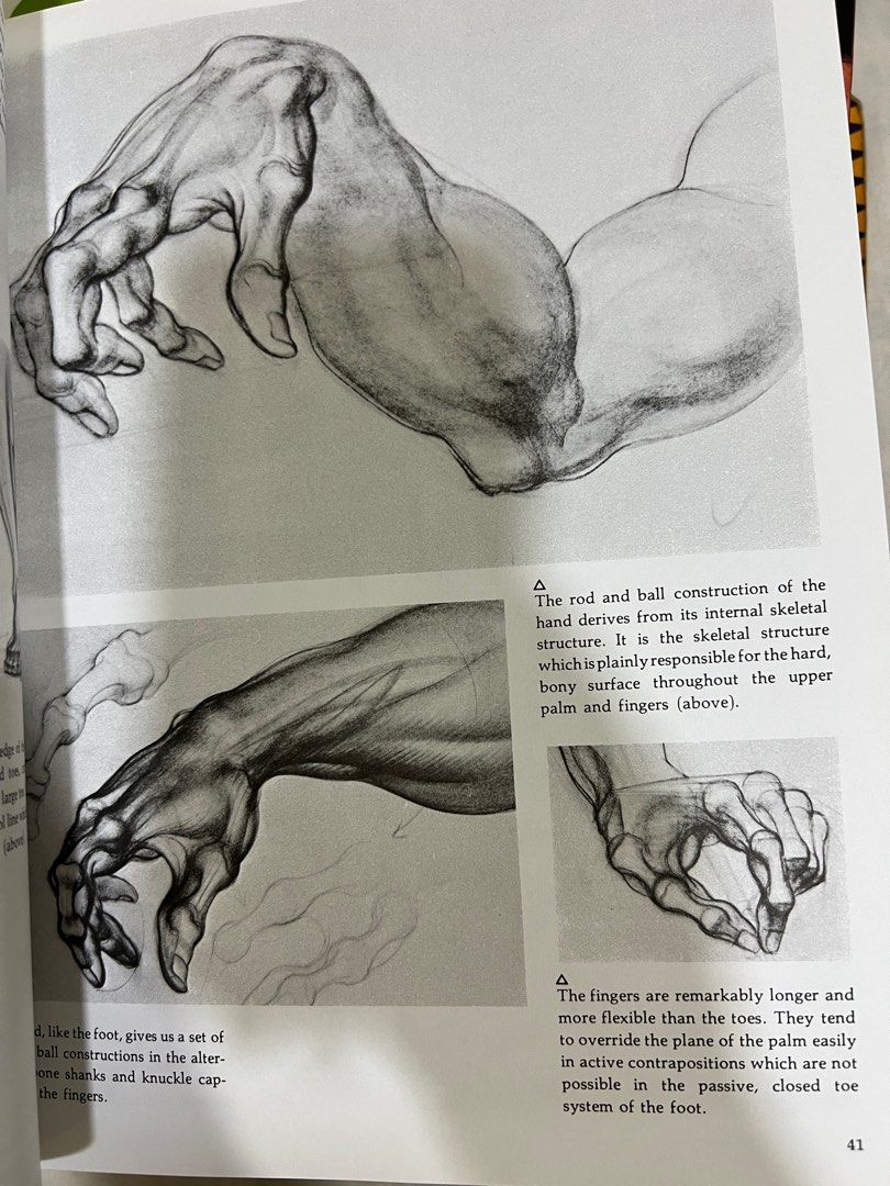 Dynamic Figure Drawing: A New Approach to Drawing the Moving Figure in ...