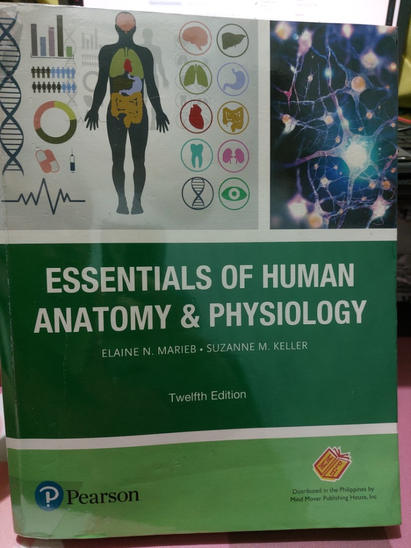 Essentials of Human Anatomy and Physiology by Kozier on Carousell