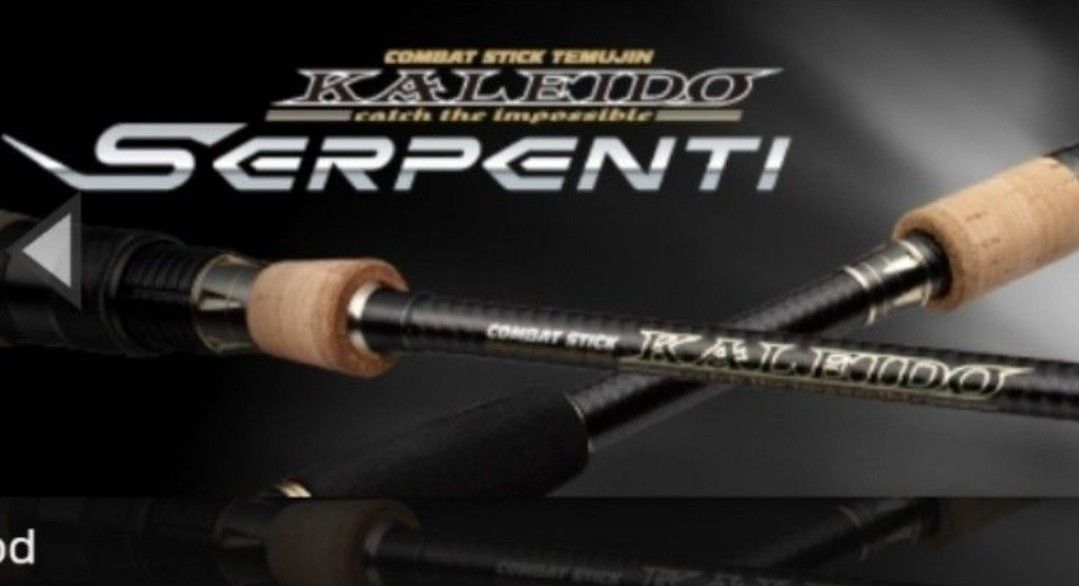Evergreen Rod - kaleido serpenti (mint), Sports Equipment, Fishing on ...