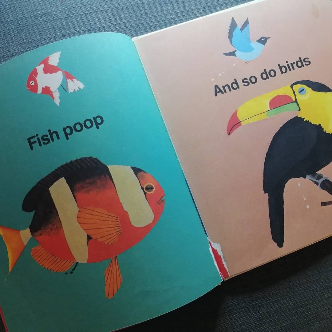 Everyone Poops Taro Gomi, Hobbies & Toys, Books & Magazines, Children's ...