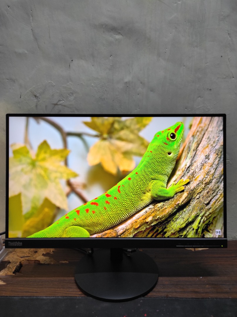 LENOVO 22 THINK VISION FRAMELESS MONITOR 75Hz, Computers & Tech, Parts ...