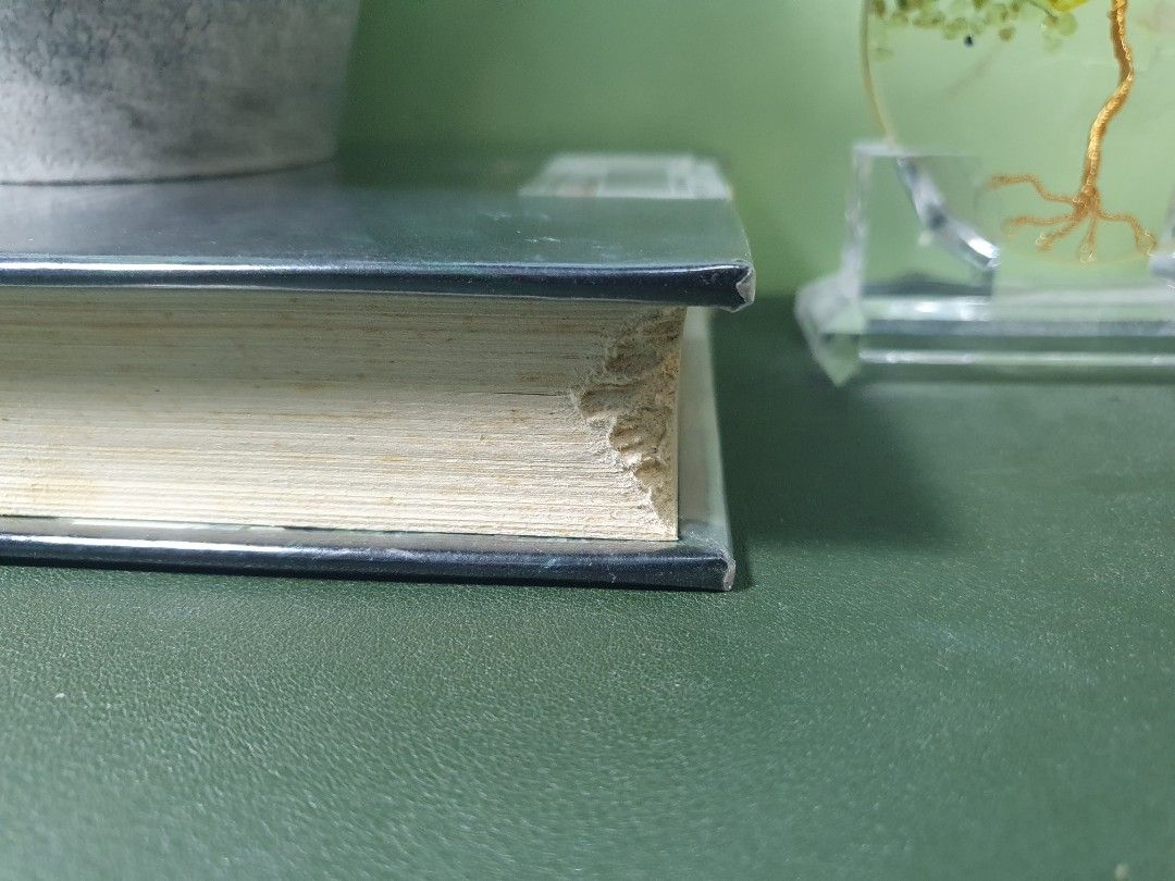 Origin by Jessica Khoury, Hobbies & Toys, Books & Magazines, Fiction ...