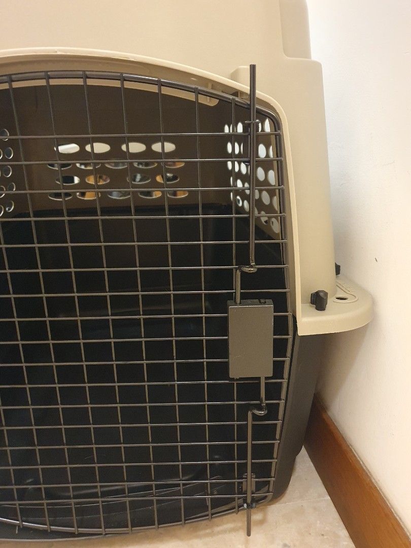 Petmate Vari dog IATA airline travel kennel crate 32" made in USA, Pet ...