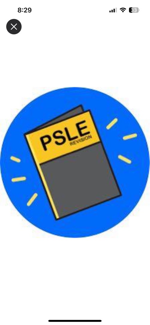 PSLE Coloured Notes, Hobbies & Toys, Books & Magazines, Assessment ...