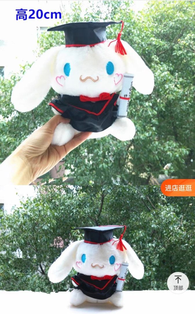 Sanrio Cinnamoroll Graduation Bear, Hobbies & Toys, Toys & Games on ...