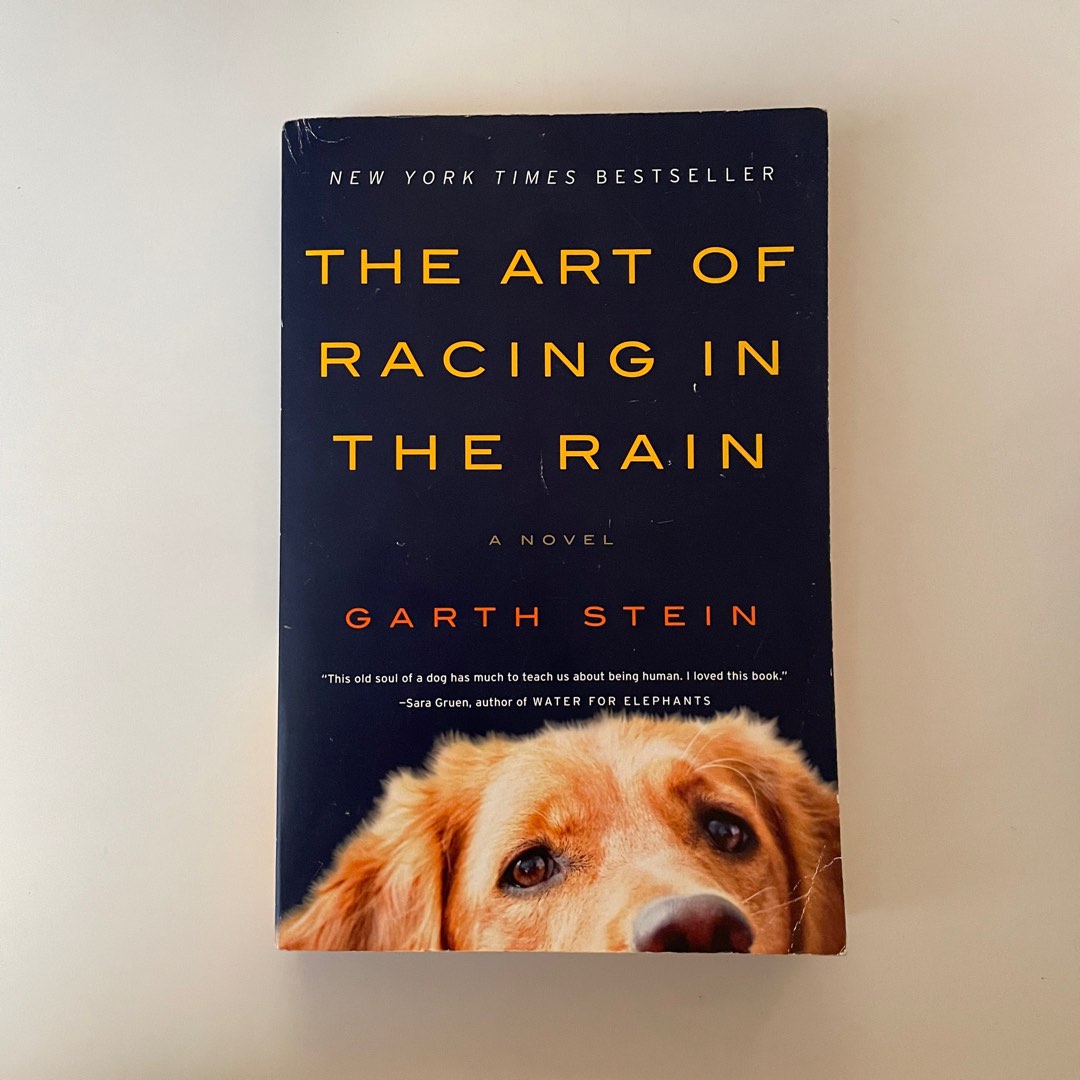 The Art of Racing in the Rain, Garth Stein, Hobbies & Toys, Books ...