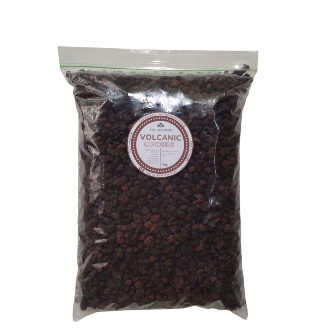 Volcanic Rock Cinders (Fine) on Carousell