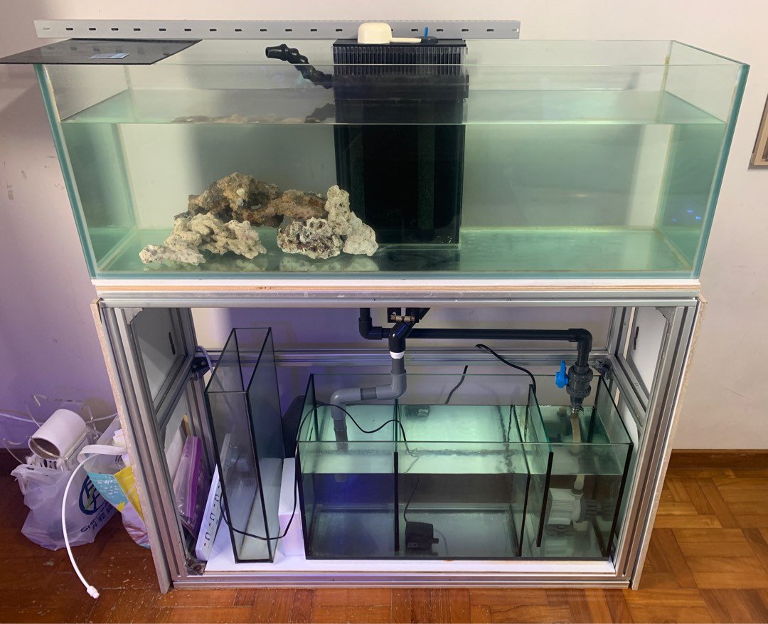 4 ft fish tank with sump, Pet Supplies, Homes & Other Pet Accessories ...