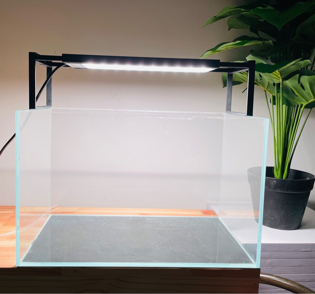 Aquascape CC tank 40cm , Pet Supplies, Homes & Other Pet Accessories on ...