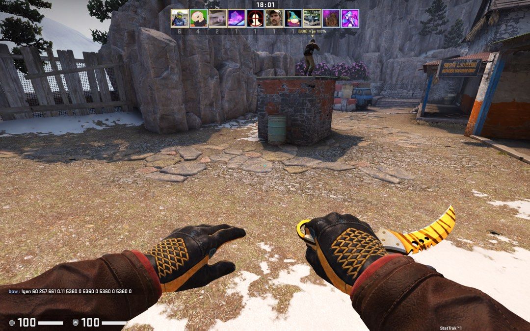CSGO Talon Tiger Tooth and Driver gloves Overtake combo, Video Gaming ...