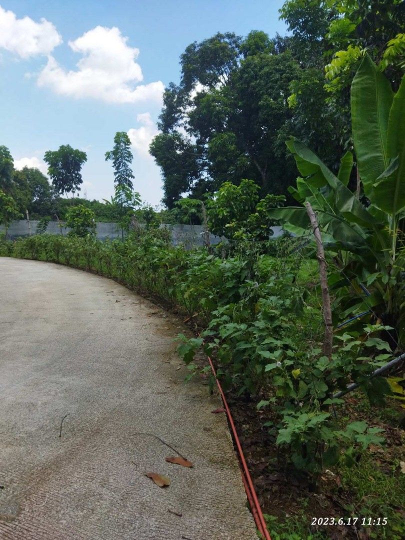 FOR SALE!! NEW IN THE MARKET BUSTOS BULACAN on Carousell