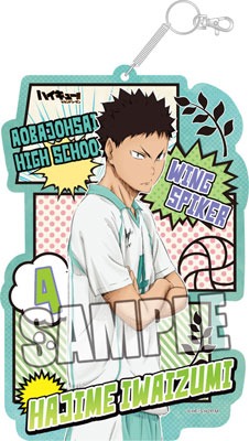 Haikyuu!! Big Pass Case - Iwaizumi Hajime (Seijoh/Aoba Josai), Hobbies ...