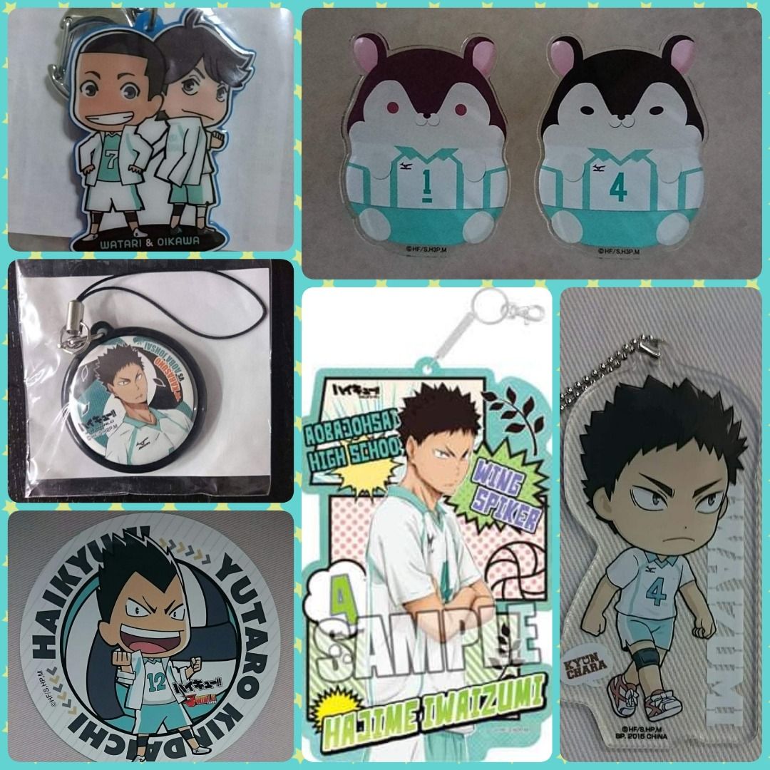 Haikyuu!! Big Pass Case - Iwaizumi Hajime (Seijoh/Aoba Josai), Hobbies ...