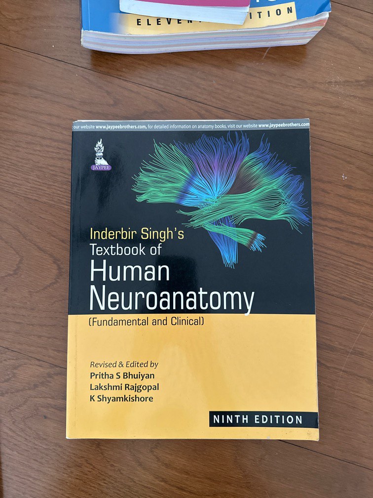 Human neuro anatomy, Hobbies & Toys, Books & Magazines, Textbooks on ...