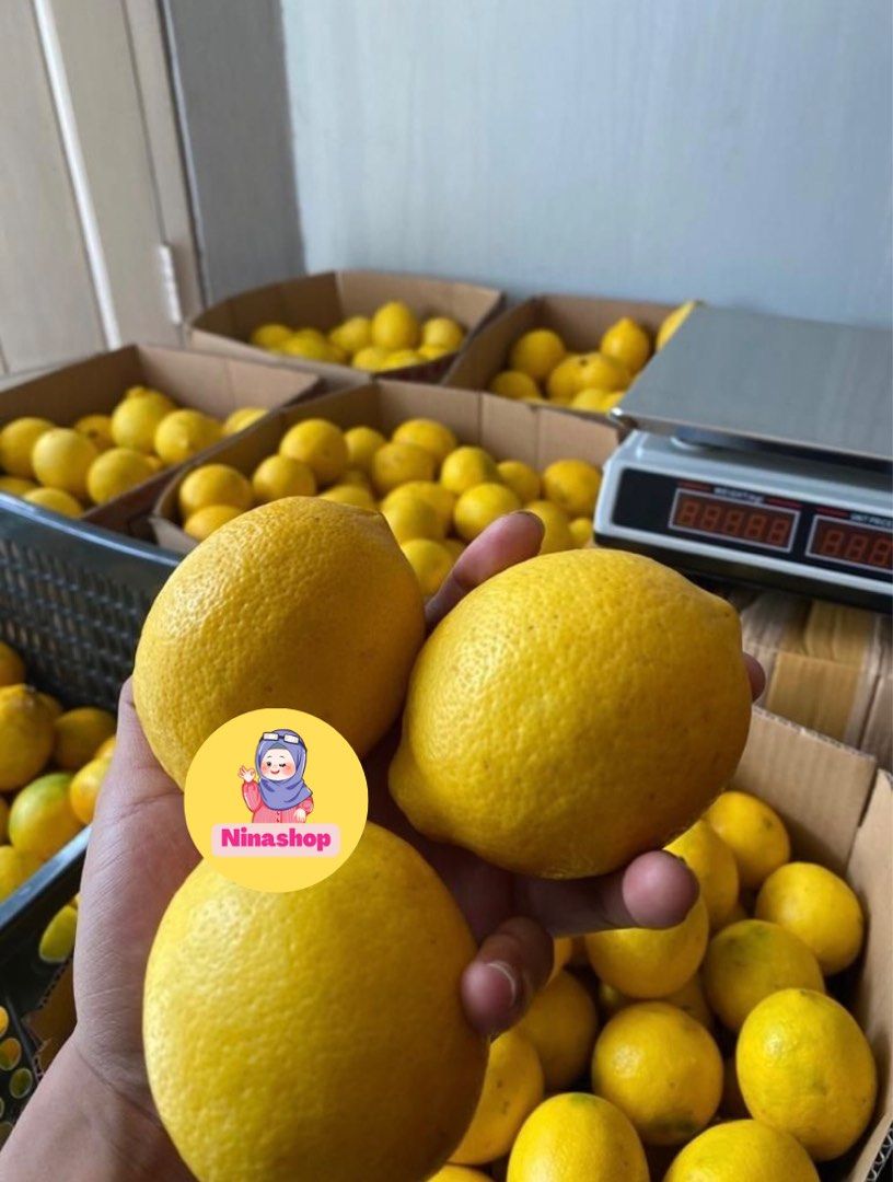 Buah Lemon Fresh per 1 kg, Makanan & Minuman, Minuman Tidak Beralkohol ...