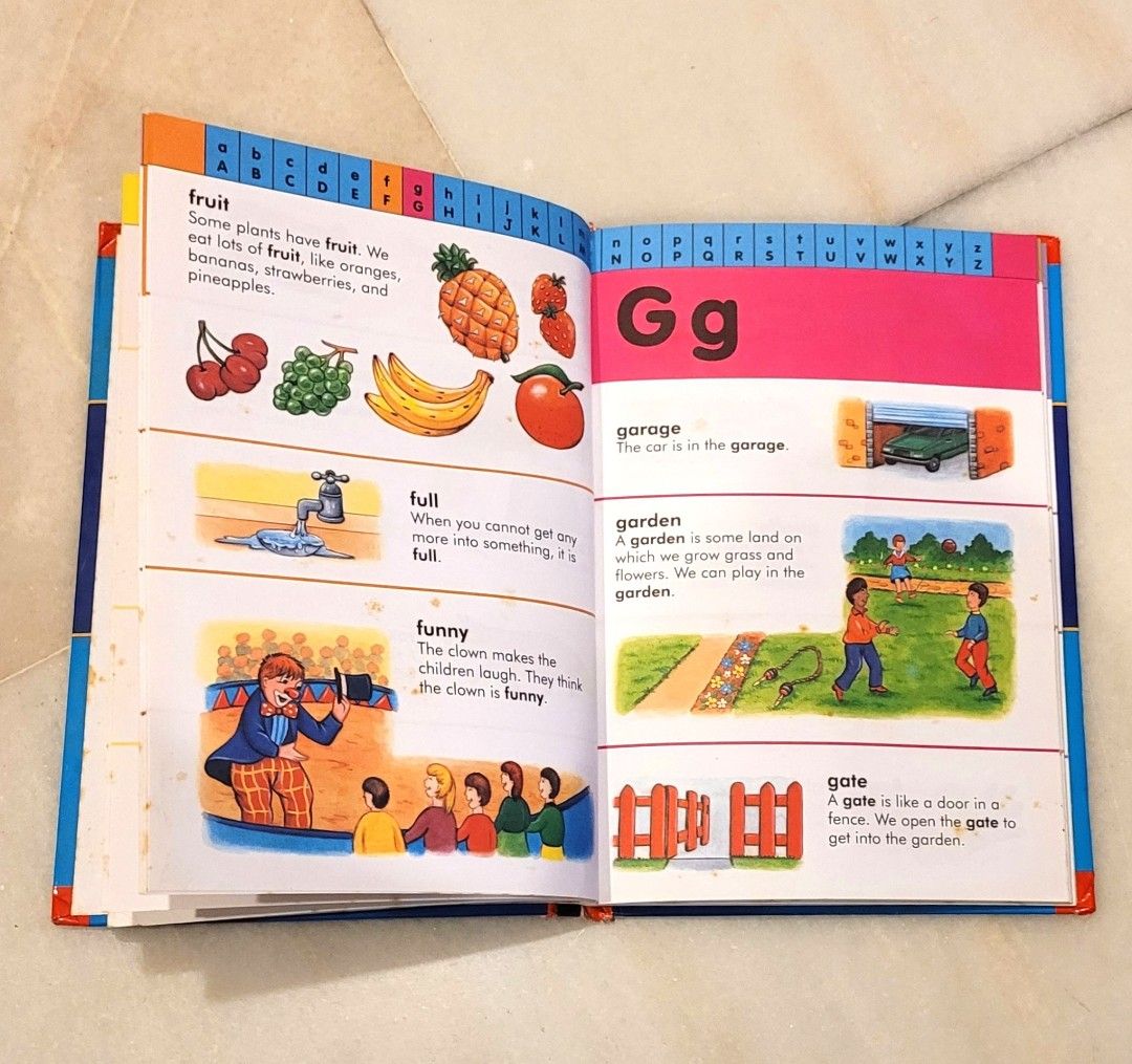 MY FIRST PICTURE DICTIONARY (PRINTED IN THE EC), Hobbies & Toys, Books ...