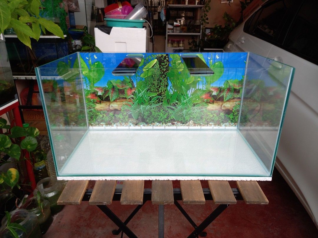 New 2 feet aquarium tank, Pet Supplies, Homes & Other Pet Accessories ...