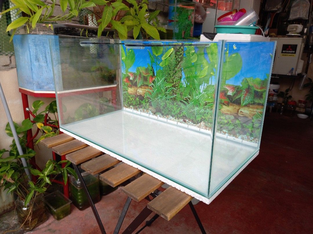 New 2 feet aquarium tank, Pet Supplies, Homes & Other Pet Accessories ...