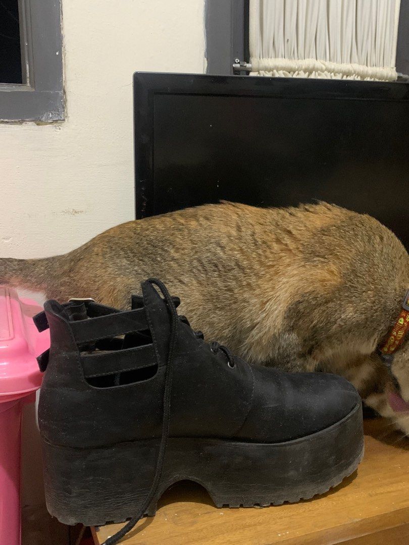 Sepatu Adorable Project Custom Platform Shoes, Fesyen Wanita, Sepatu di ...