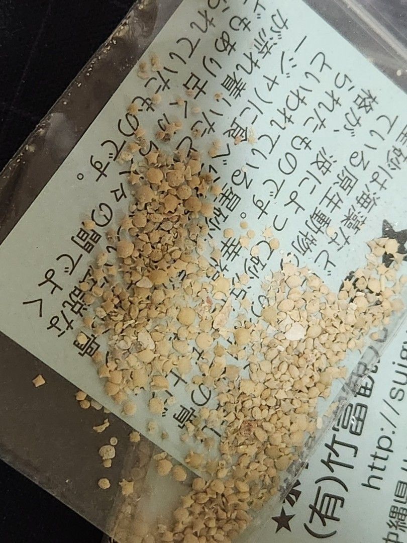 Star-shaped sand from Okinawa Japan, Hobbies & Toys, Stationery & Craft ...