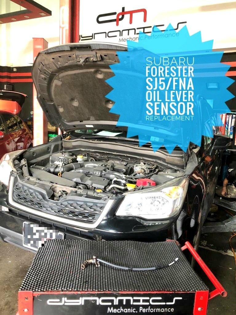 Subaru Forester SJ/Legacy BN9/Outback BS9: Oil level sensor replacement ...