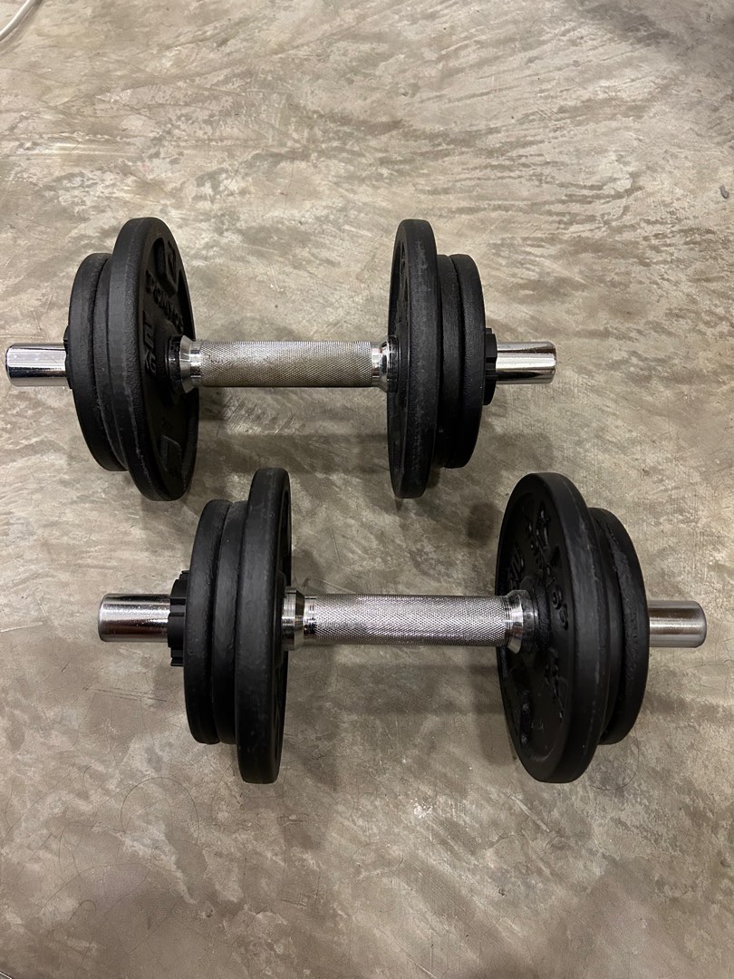 10kg Dumbbell (x2), Sports Equipment, Exercise & Fitness, Weights ...