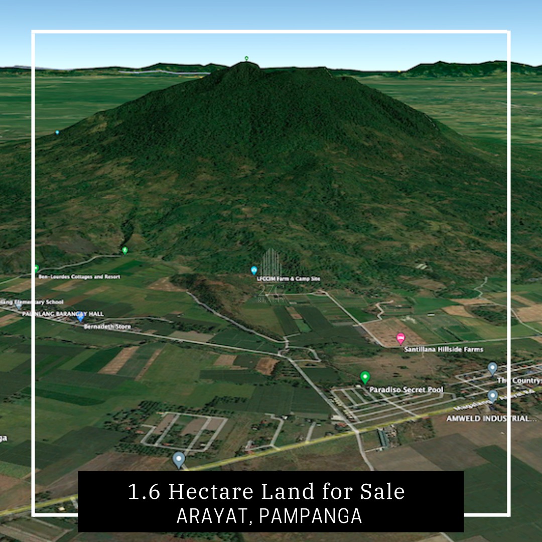1.6 Hectare Land for Sale in Arayat, Pampanga, Property, For Sale, Lot ...