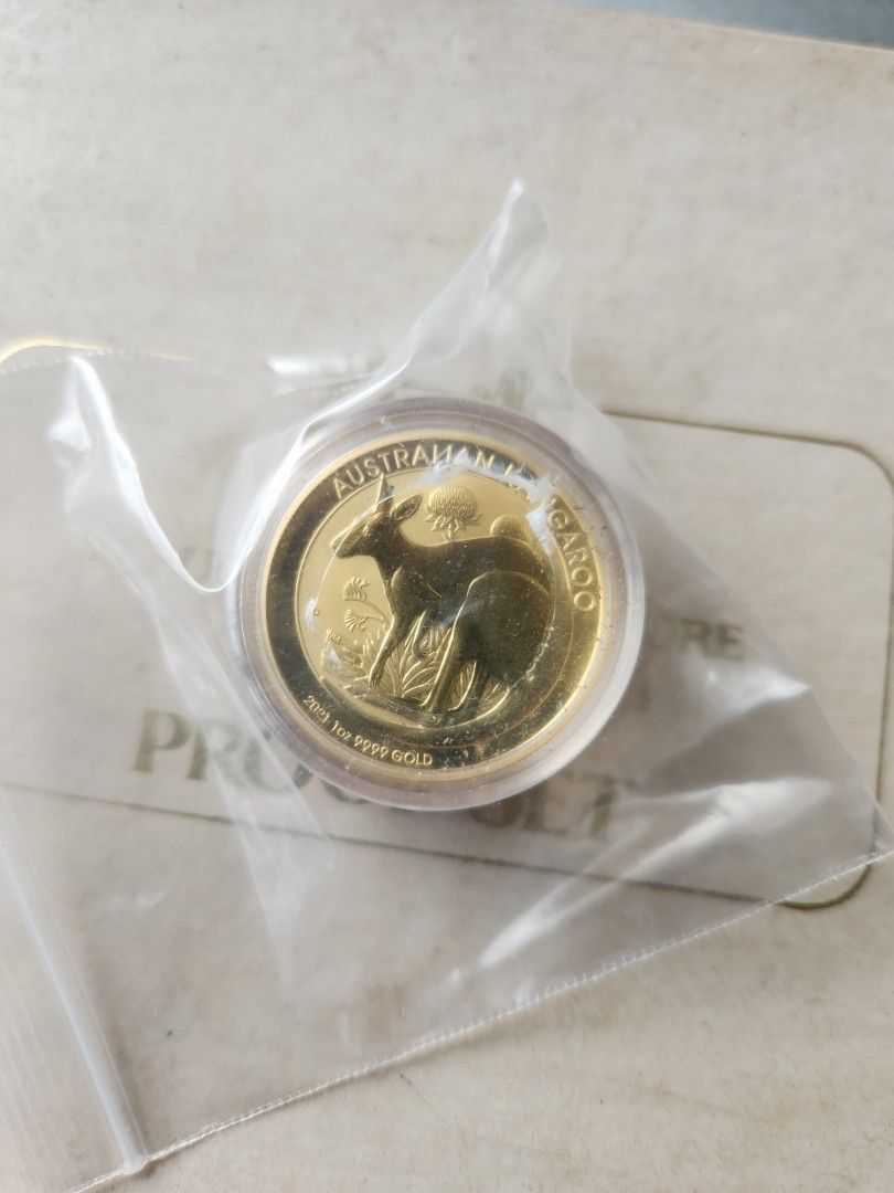 2021 Perth Mint 1 Oz 999.9 Gold Coin, Hobbies & Toys, Memorabilia ...