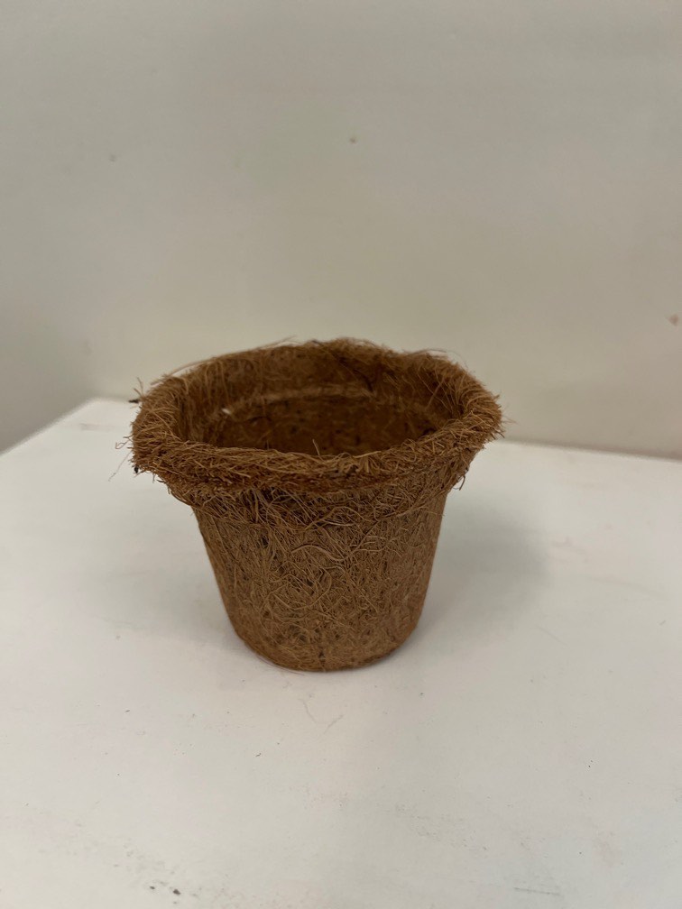 4 Pcs Coco Pit Planter, Furniture & Home Living, Gardening, Pots ...