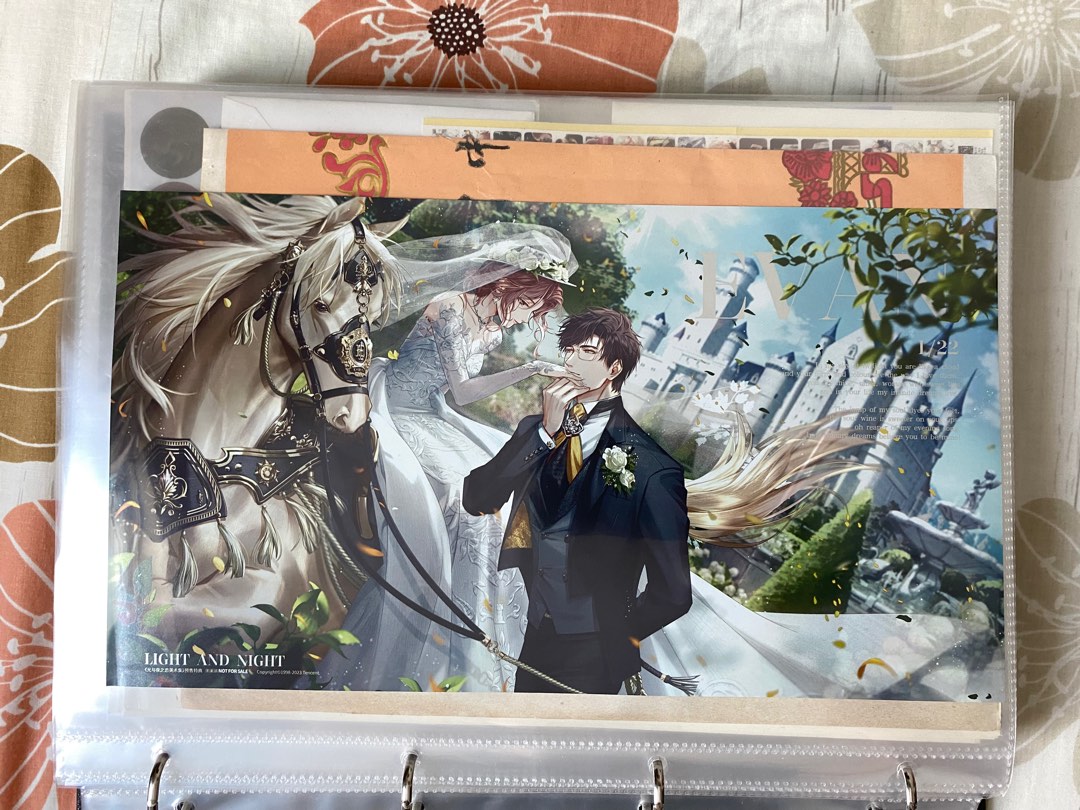 光与夜美术集 陆沉Evan Lu特典 银卡婚纱照, Hobbies & Toys, Toys & Games on Carousell