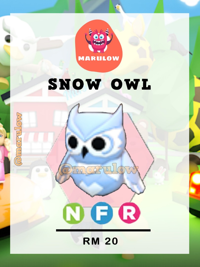 Adopt Me - Snow Owl NFR ( Roblox ), Video Gaming, Gaming Accessories ...