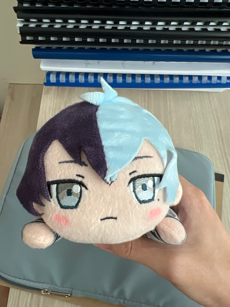 Aoyagi Toya nesoberi plush, Hobbies & Toys, Toys & Games on Carousell