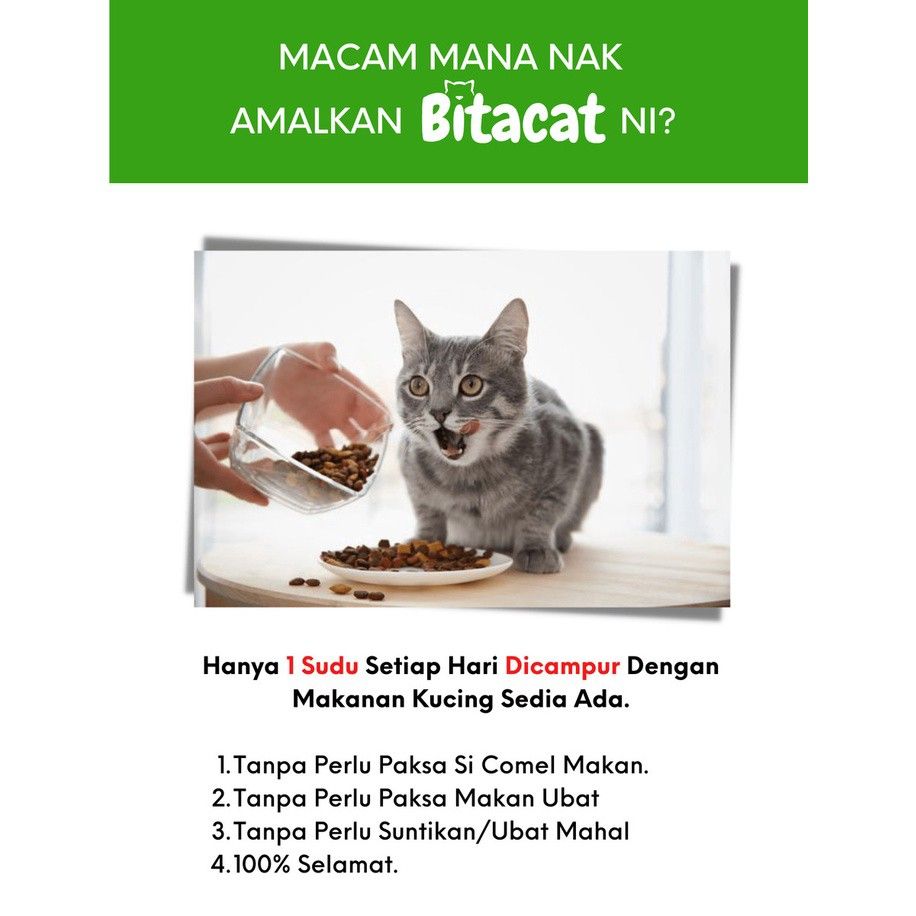 ‼️ INSTOCK ‼️ Bita Cat Supplement, Pet Supplies, Pet Food on Carousell