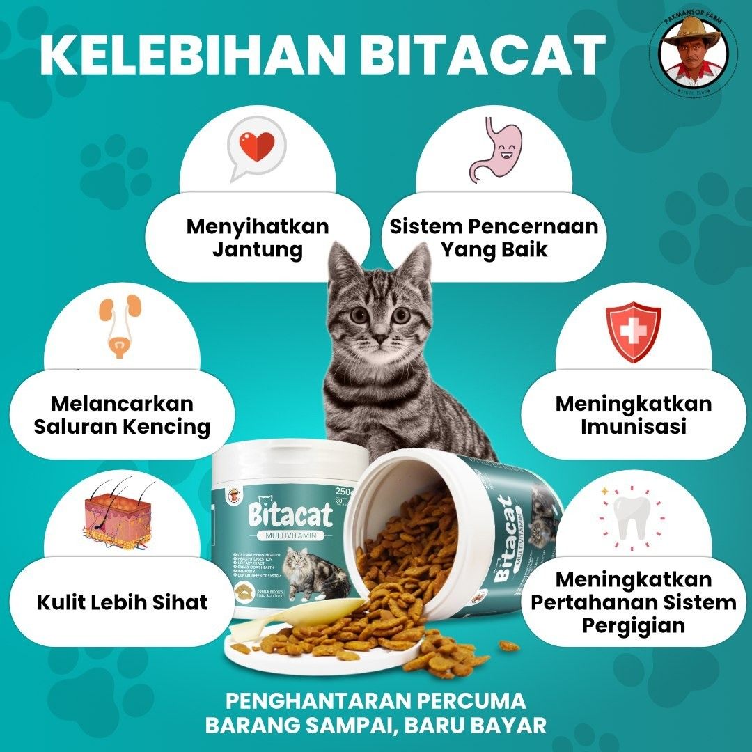 ‼️ INSTOCK ‼️ Bita Cat Supplement, Pet Supplies, Pet Food on Carousell